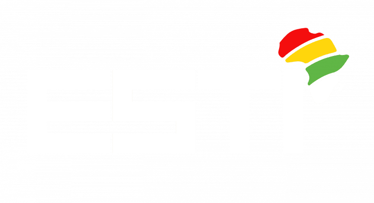 Home Electronic Safety Training Institute